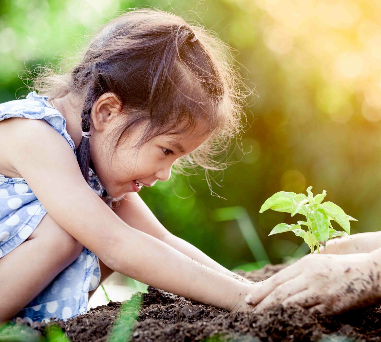 Sensory Attachment Intervention | Occupational Therapy | Juniper Tree ...